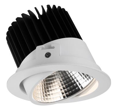 Cina 11/18W hotel tagliente rotondo regolabile LED Downlights del punto di inclinazione di sorgente luminosa 30deg della disposizione il TDC Dimmable 300mA in vendita