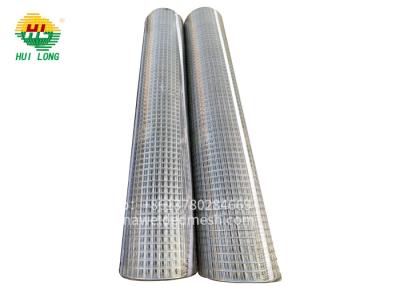 Chine Place galvanisée à chaud de 1/2 x de 1/2 grillage soudé par 19gauge Underground, jardin, article de 36in x de 100ft d'amélioration de Chambre à vendre