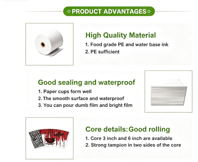 PE Coated Paper Roll in Warehouse