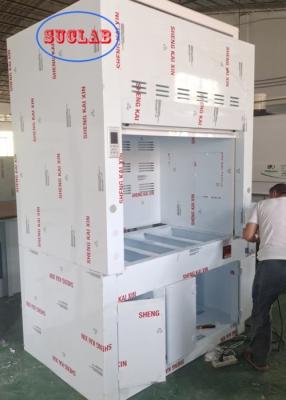 China Custom 220V/110V Voltage Chemical Fume Hood with Scrubber Solutions and LED Lighting Performance for sale
