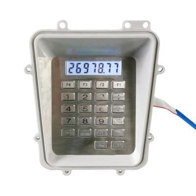 中国 Bernet ブランドの電子装置 LPG ディスペンサー 販売のため