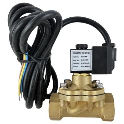 China Valva de solenoide de duplo fluxo de fio interno de alta precisão Bernet para dispensador de combustível à venda