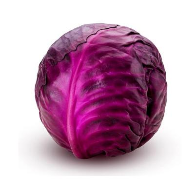 Chine 16000 IU/mg Bacillus Thuringiensis Insecticides biologiques et AcNPV Virus de la polyhédrose nucléaire Pesticide organique à vendre