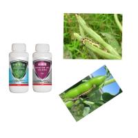 Quality 2.4% Emamectin Benzoate 10% Chlorfenapyr SC Natural Vegetable Insecticides For Tomato Hornworm for sale