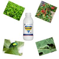 Quality Agrochemical 10% Beta SC Cypermethrin Insecticide Products Spray For Vegetables for sale