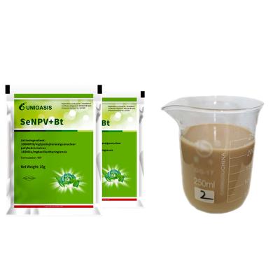 Agriculture Spodoptera Exigua SeNPV Biological Insecticides for Brassicaceous