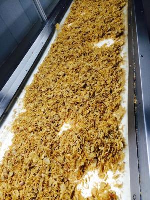 China Un grado frió la cebolla con el sabor fuerte y acre/24 meses de la cebolla de almacenamiento en venta