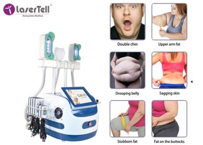 Chine Corps indolore de 650nm Cryolipolysis amincissant la machine pour la grosse congélation à vendre