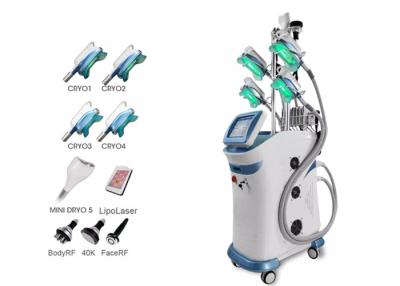 Κίνα Κενή δημιουργία κοιλότητας Cryolipolysis παχύ παγώνοντας RF μηχανών αδυνατίσματος προϊόντων απώλειας βάρους προς πώληση