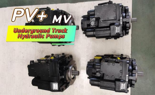 Hydraulic control piston pump