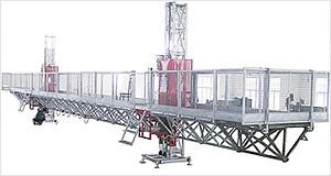 Cina Lavoro altezza 100 m 1700 kg Mast doppia scalata piattaforma di lavoro in vendita