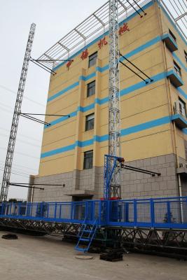 Cina 1000 kg Single Mast Climbing piattaforme per lavoro altezza 100 m in vendita