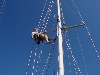Cina Piattaforma di lavoro rampicante dell'albero dello scalatore di ricerca ZLP800, qualificazione del CE in vendita