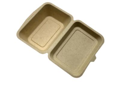 中国 使い捨て可能なバガス7×5は20g生物食品包装をじりじり動かす 販売のため