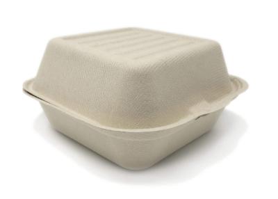 China 6x6 de Biologisch afbreekbare Meeneemcontainers van de duimhamburger Te koop