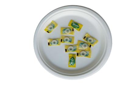 中国 10インチの円形のCompostableバガスの使い捨て可能な版 販売のため