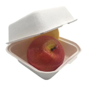 China Bento 6x6 duim21g Biologisch afbreekbare Dozen voor Voedsel Te koop