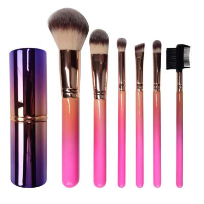China Multifuction Kosmetische Borstel Kit Gradient Color Perfect Finish Te koop