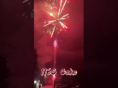 류양 공장 116 샷 불꽃놀이 소매 불꽃놀이 중국 야외 케이크 불꽃놀이 축제 축하
