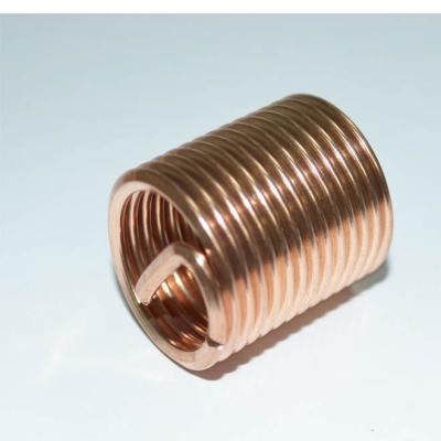 Cina M1.6 agli inserti filettati d'ottone M36 304 per le installazioni della costruzione in vendita