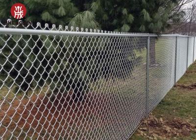 Cina il collegamento a catena Mesh Fence Galvanized/PVC di 5ft 3m ha ricoperto in vendita
