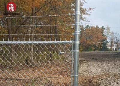 Cina il collegamento a catena Mesh Fence Hot Dipped Galvanized e PVC di altezza di 1.2m ha ricoperto in vendita