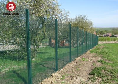Cina Filo zincato Mesh Iron Metal 358 anti aree di For Garden Residential del recinto di salita in vendita