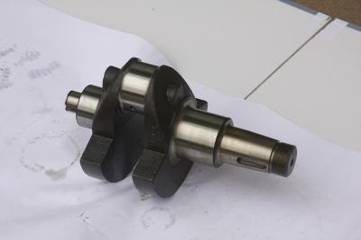 Cina Durezza diesel dell'albero a gomito delle componenti del motore S195 S1100 di Changchai Changfa in vendita