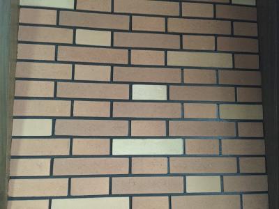 중국 건물 벽 클래딩은 색깔 쪼개지는 벽돌 베니어 벽면 다른 크기를 섞었습니다 판매용