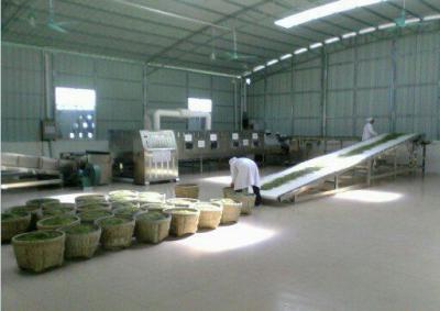 Chine CE de stérilisation Certificed de thé de fleur de machine de séchage de thé vert de la micro-onde 20kw à vendre