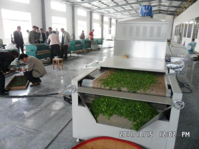 Chine CE de stérilisation Certificed de thé de fleur de machine de séchage de thé vert de la micro-onde 20kw à vendre