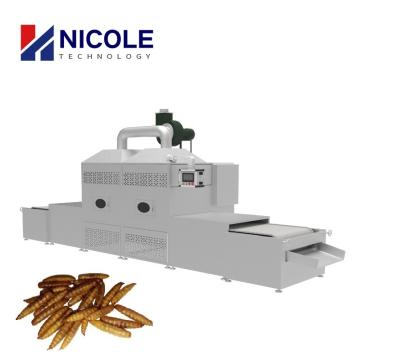 Chine Machine de séchage continue de ceinture de tunnel de dessiccateur industriel à micro-ondes de BSF solides solubles 304 à vendre