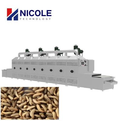 Chine Machine de séchage continue de ceinture de tunnel de dessiccateur industriel à micro-ondes de BSF solides solubles 304 à vendre