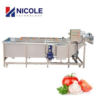 Chine Le CE multifonctionnel de nettoyage de machine de légume fruit de bulle du SUS 304 a approuvé à vendre