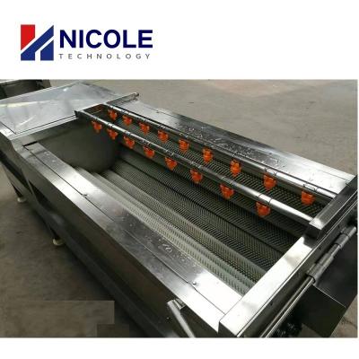 Chine Économie d'énergie de nettoyage de machine de pomme de terre de bulle de rouleau de brosse pour les légumes de lavage à vendre