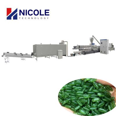 Chine Chaîne de fabrication artificielle multifonctionnelle de riz d'acier inoxydable 300kg/H à vendre