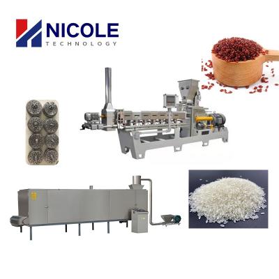Chine 500kg/H a enrichi la chaîne de production de riz tension adaptée aux besoins du client à vendre