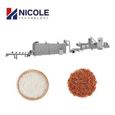 Chine Chaîne de production artificielle de riz du moteur 300kg/H de Siemens acier inoxydable automatique à vendre
