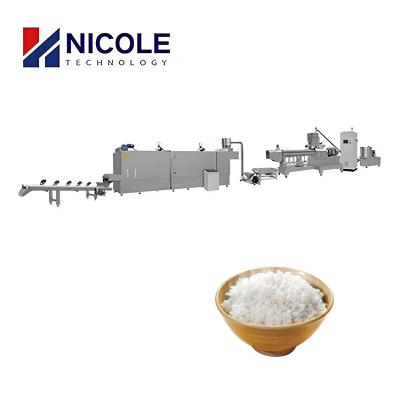 Chine chaîne de fabrication enrichie extrusion de nettoyage complètement automatique de riz de l'acier inoxydable 300kg/H à vendre