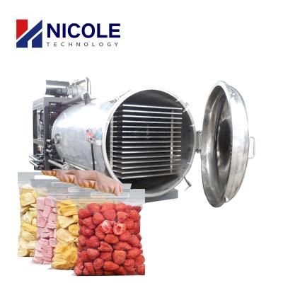 Chine Équipement poreux 380V de lyophilisation de vide de fraise d'effet de déshydratation de fruit à vendre