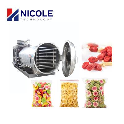 Chine Équipement 380V 415V de lyophilisation de fruits et légumes de nourriture de vide à vendre
