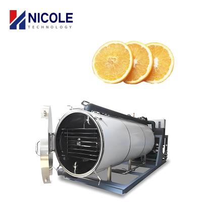 Chine Machine plus sèche sèche de gel de vide de nourriture de fruit de viande automatique à vendre
