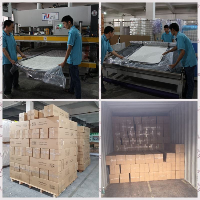 Rollo con el cartón en caja Rollo con el cartón en caja