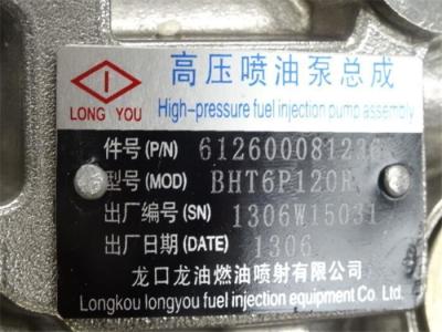 中国 HOHAN Sinotruk Howoのトラックのディーゼル機関の燃料噴射装置ポンプVG1560080022 販売のため