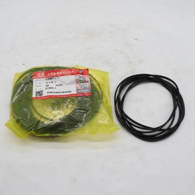 中国 良質の抵抗の水圏C3907177Highの質の抵抗の水圏C3907177 販売のため
