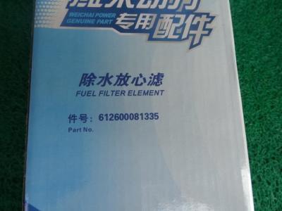 Cina Filtro dell'olio del compressore d'aria del camion di Sinotruk Howo VG61000070005 in vendita