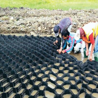Cina Distanza di saldatura 330mm-1000mm Geocell Paver per l'erba per la vendita stile di design contemporaneo in vendita