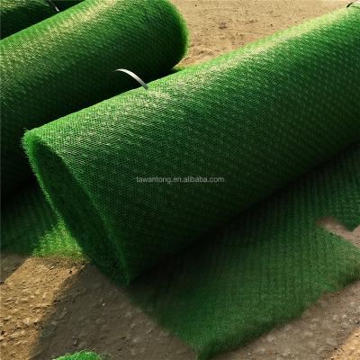 Cina 50 m di lunghezza normale Controllo dell'erosione Geosintesi Reti di plastica per richieste dei clienti in vendita