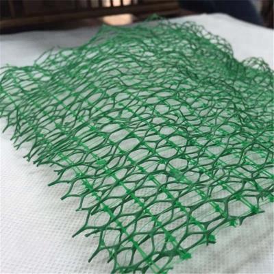 Cina Promuovere la protezione sostenibile della vegetazione con un geomat tridimensionale in HDPE larghezza 2 metri in vendita