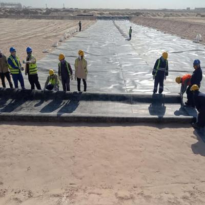 中国 100% 純 HDPE LLDPE 1mm 2mm HDPE 魚池培養埋立場用 地膜ラインナー 販売のため